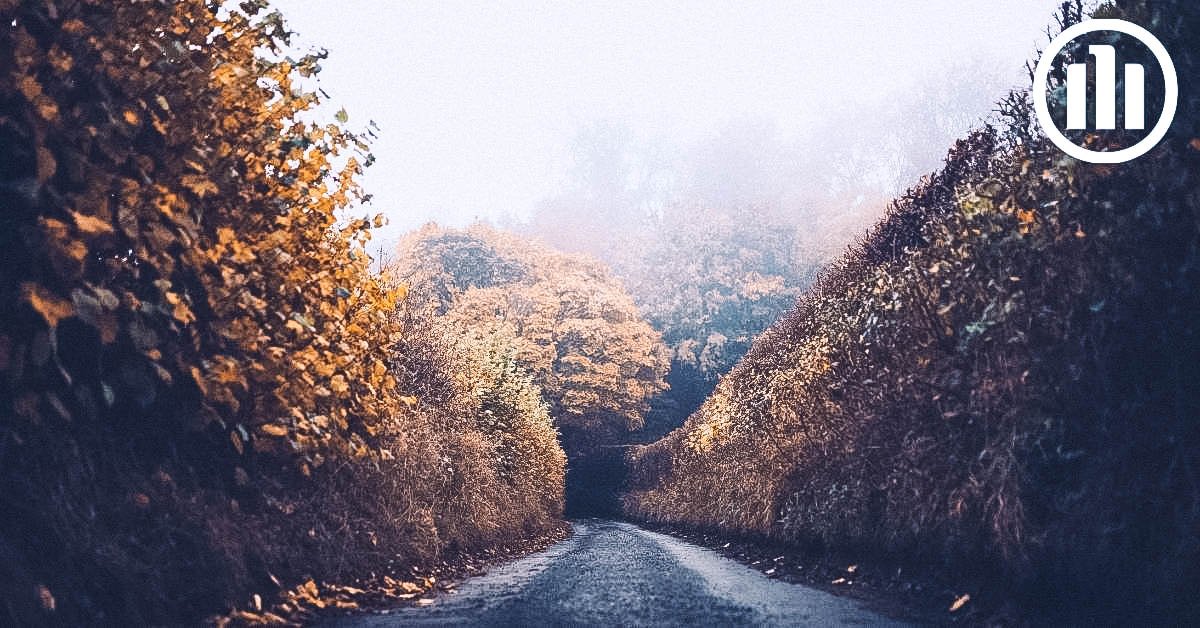 Guidare in sicurezza nei mesi autunnali